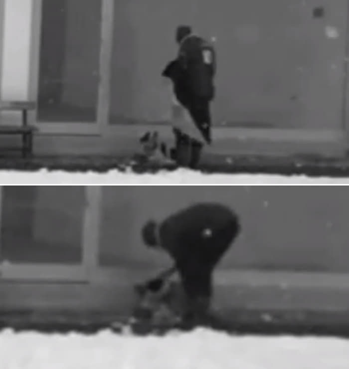 폭설에 추위에 떨고있는 유기견 보고 자신이 입고 있던 옷 벗어준 남성