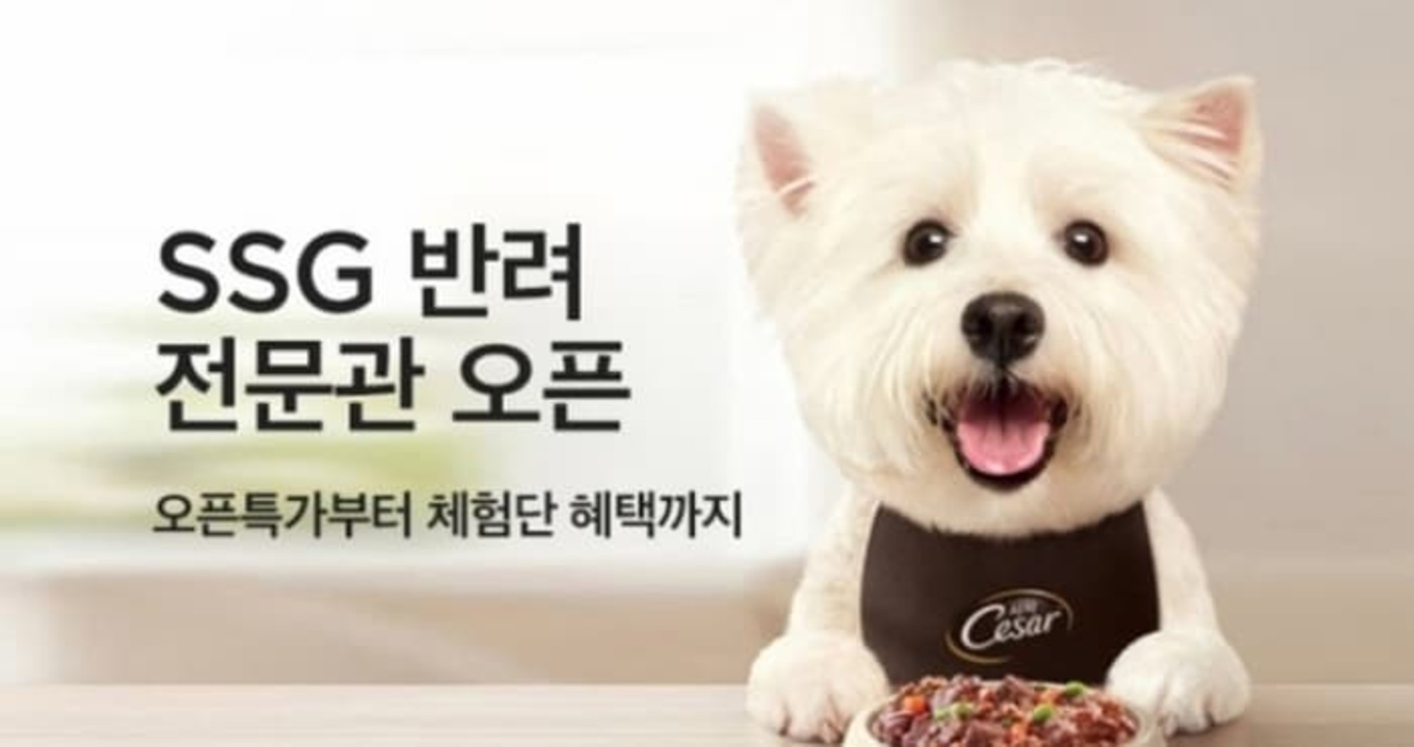 SSG닷컴, 펫팸족 잡기 위한 프리미엄 반려 동물 전문관 '몰리스 SSG' 오픈